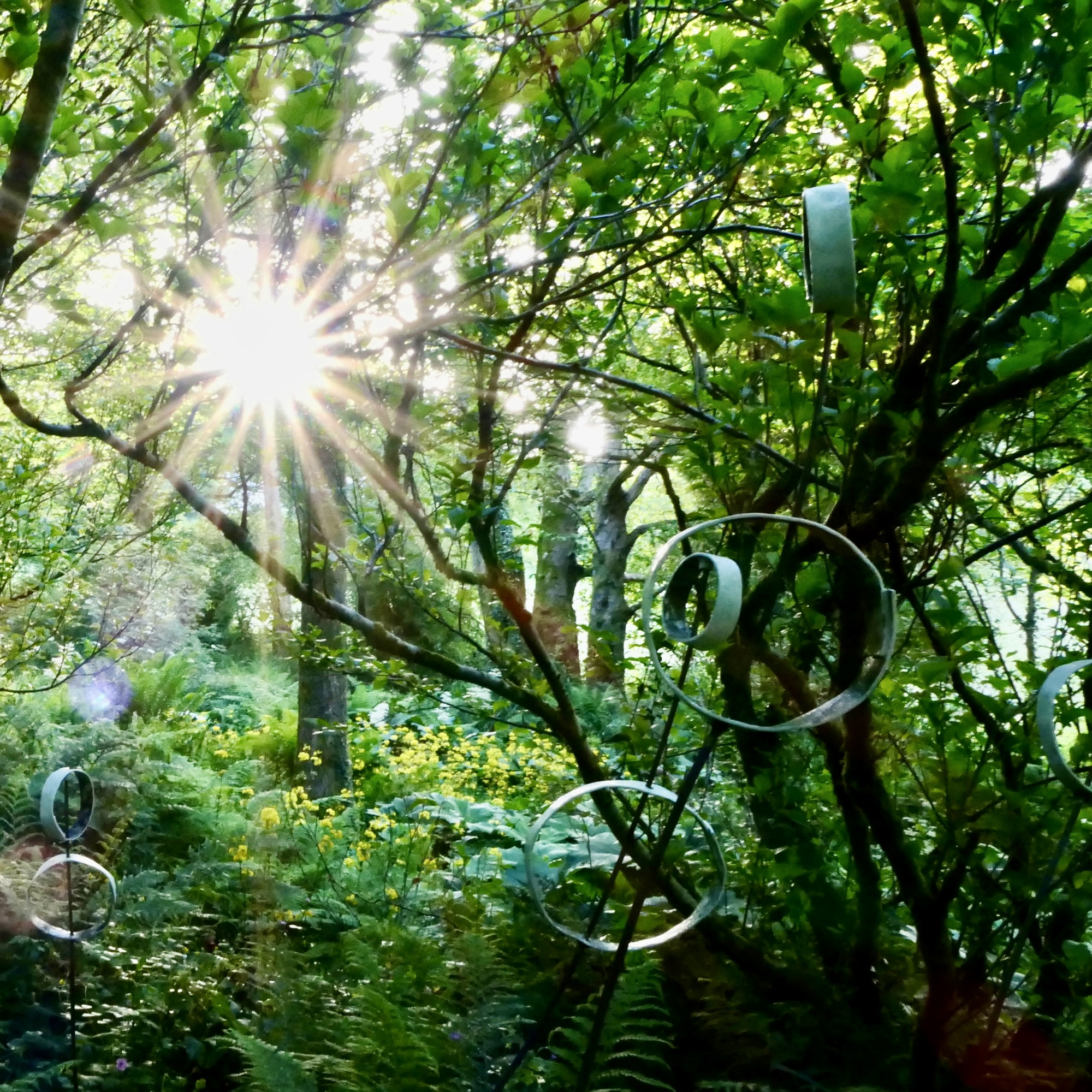Shop & Tickets | Stone Lane Gardens