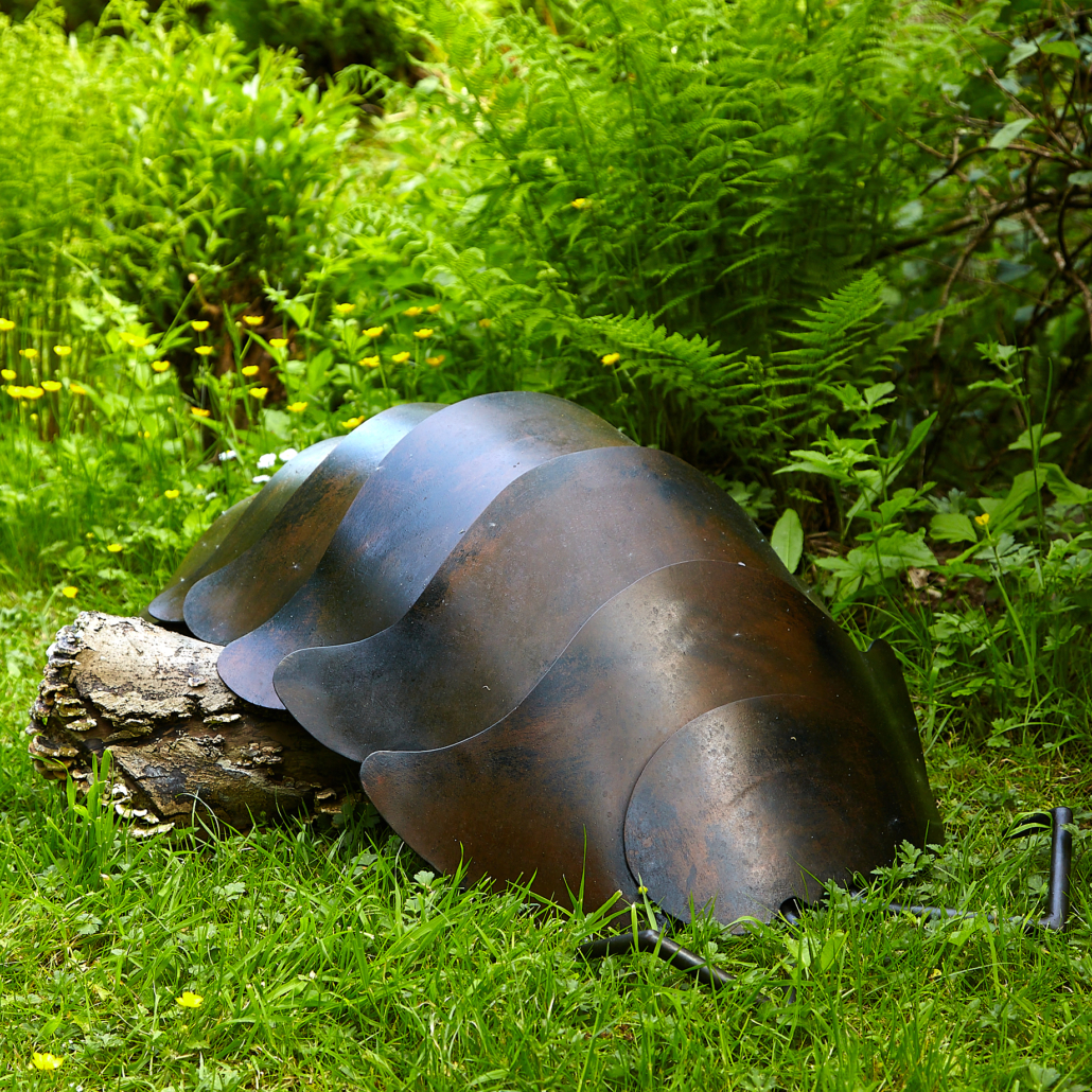 41. Chucky Pig | Stone Lane Gardens